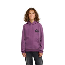 Kapuzensweatshirt Quiksilver "Omni Logo", Jungen, Gr. 16, grape jam, Obermaterial: 55% Baumwolle, 45% Polyester., Sweatshirts