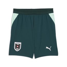 Sporthose Puma "&Ouml;sterreich 2026 Shorts Jugendliche", Kinder, Gr. 116, Normalgr&ouml;&szlig;en, gr&uuml;n (gr&uuml;n terrain mint melt), Obermaterial: 100% Polyester. Besatz: 88% Polyester, 12% Elasthan. Einsatz: 100% Polyester, regular fit, Hosen Sporthose