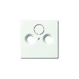 BUSCH-JAEGER Zentralscheibe stws mt f.Antennendose 2Loch 1743-884 (2CKA001724A4293)