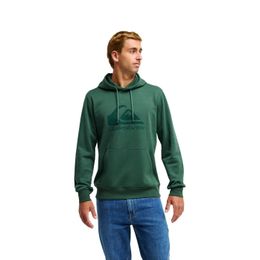 Kapuzensweatshirt Quiksilver "Comp Logo", Herren, Gr. L, gr&uuml;n (forest), Obermaterial: 60% Baumwolle, 40% Polyester., Sweatshirts