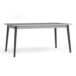 ESSTISCH Irelis Grau 220/80/90 cm &ndash; mit schwarzen Beinen