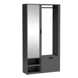 GARDEROBENSCHRANK Milanoir Graphit 100/189,4/33 cm - Modern mit Spiegel