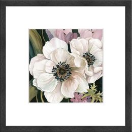 ars graphica Smart-Art 42x42cm - Carol Robinson: Anemone Study I