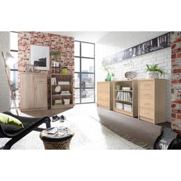 Bega Consult OPTIMUS Regal Buche NB BHT ca. 72x 86x34 cm