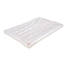 Paradies Winterbettdecke 155x220