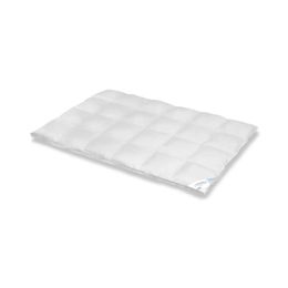 Spessarttraum Daunenaussenstegdecke Exclusiv Warm 155x220