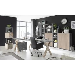 M&auml;usbacher Aktenregal Mister Office 81x109 cm graphit