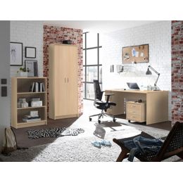 Bega Consult OPTIMUS Regal Buche NB BHT ca. 72x111x34 cm