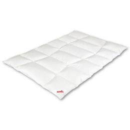 Paradies Winterbettdecke 135x200
