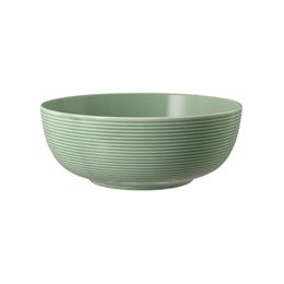 Seltmann Weiden Seltmann Foodbowl 20 cm Salbeigr&uuml;n