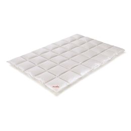 Paradies Ganzjahresbettdecke Galia 90 medium warm 155x200 cm