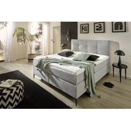 Fey Boxspringbett 5 Karat Comfort 180x200 cm Unico steel inkl. Topper