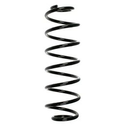 SPIDAN Fahrwerksfeder 55310 Hinterachse f&uuml;r Ford
