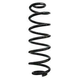 SPIDAN Fahrwerksfeder 88114 Hinterachse f&uuml;r TOYOTA