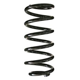 SPIDAN Fahrwerksfeder 85731 Hinterachse f&uuml;r BMW