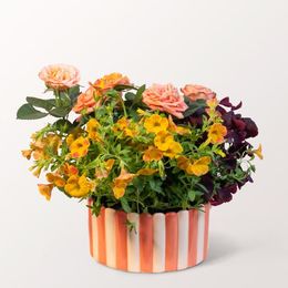 Sommerjuwel in Gelb-Orange