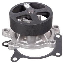 Blue Print Wasserpumpe adn191102 f&uuml;r NISSAN RENAULT SAMSUNG