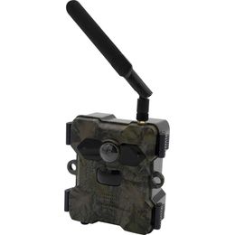 Technaxx Wildkamera "4G Wildcam TX-189 + Solar Panel", gr&uuml;n (gr&uuml;n, schwarz), B:11,8cm H:7,1cm T:28,4cm, &Uuml;berwachungskameras