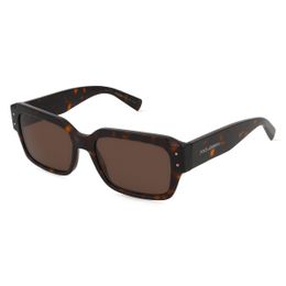 Dolce & Gabbana Dolce&Gabbana 0DG4460 | Herren-Sonnenbrille | Fassung: Vollrand, Quadratisch, Acetat, Havanna | Glasfarbe: Braun