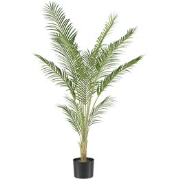 Kunstpalme Creativ green "Ph&ouml;nixpalme", gr&uuml;n, H:150cm, Kunststoff, Kunstpflanzen, mit 12 Wedeln