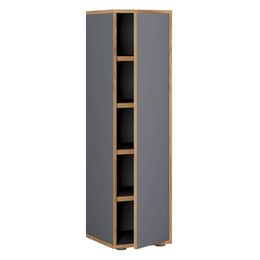 Schuhschrank Salia Anthrazit/Honigeiche
