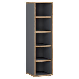 Schuhregal Salia Anthrazit/Honigeiche