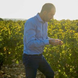 Cayrol 2023, Rotwein, trocken, Frankreich, Roussillon, 1 Flasche &agrave; 0,75 l