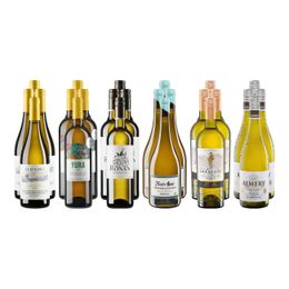 Weinsammlung - Die kleine Wei&szlig;wein-Sammlung Fr&uuml;hjahr/Sommer 2026, 24 Flaschen