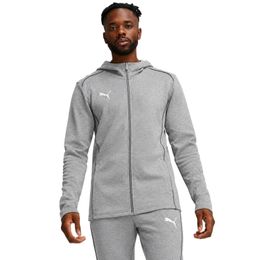 Puma - Kapuzenjacke f&uuml;r Herren (Grau)