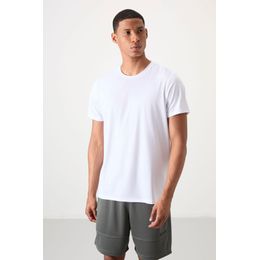 Herren Regular Fit Rundhals-T-Shirt