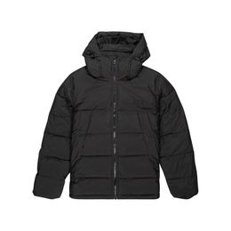 Element HERRENMODE JACKE DULCEY PUFF SCHWARZ