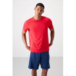 Herren Regular Fit Rundhalsausschnitt T-Shirt