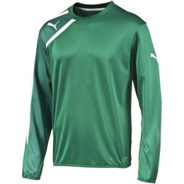 Puma - "Spirit" Sweatshirt f&uuml;r Herren, Regul&auml;r (Gr&uuml;n)