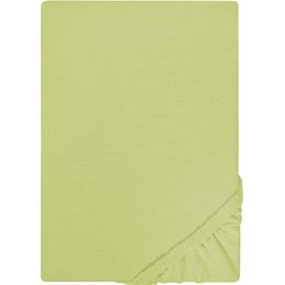 Spannbettlaken "Jersey in Gr. 90x200, 140x200 oder 180x200 cm", gr&uuml;n (pistaziengr&uuml;n), B:120cm L:200cm, Jersey, Obermaterial: 100% Baumwolle, CASTELL - MARKENBETTW&Auml;SCHE, Bettlaken, Spannbettlaken, aus Baumwolle, f&uuml;r Matratzen bis 22 cm H&ouml;he, Bettlaken, Spannbetttuch