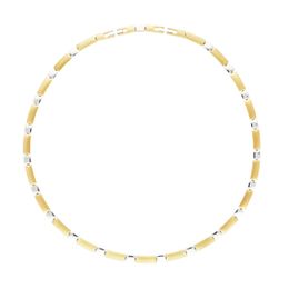 Gliederkette TITANIA "Titancollier", silber (silbergoldfarben), Halsketten, Damen, Titan, Gliederkette, bicolor
