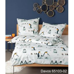 Bettw&auml;sche Janine "DAVOS 65103", blau (eisblau), B/L: 155cm x 220cm, 1 Stk., 1 Stk., Feinbiber, B/L: 80cm x 80cm, 2 Stk., Feinbiber, Obermaterial: 100% Baumwolle, Bettw&auml;sche, Bettw&auml;sche, mit Rei&szlig;verschluss