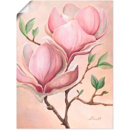 Wandbild Artland "Magnolienbl&uuml;ten", pink (farbe bild(er): pink), B:30cm H:40cm, Bilder, als Leinwandbild, Poster in verschied. Gr&ouml;&szlig;en