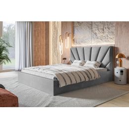 BETT 120x200 - Polsterbett mit Bettkasten und Holzrahmen - Modern Betten - Weicher Jasminstoff - Kollektion Denver, grau