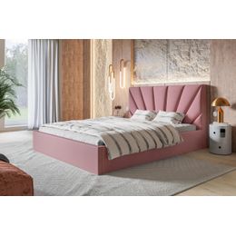 BETT 160x200 - Polsterbett mit Bettkasten und Holzrahmen - Modern Betten - Weicher Jasminstoff - Kollektion Denver, Rosa