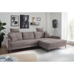 Ecksofa TRENDS BY HG "Summer", grau (b801 zoom 21 ash), B:278cm H:106cm T:174cm, 92% Polyester;8% Nylon, Sofas, Ecksofa, hochwertiger Stoff mit edlem Metallfu&szlig;