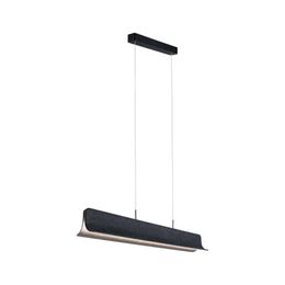Paulmann LED Pendelleuchte "Noyan 3-Step-Dimmbar 2x24W Anthrazit", grau (anthrazit), 2, 1 Stk., Leuchten, 3-Stufen-Dimmbar, LED Pendelleuchte