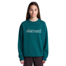 Sweatshirt Element "Central Lowcase", Jungen, Gr. 14(155-164cm), gr&uuml;n (dunkelgr&uuml;n), Obermaterial: 55% Baumwolle, 25% Baumwolle, 20% Polyester., Sweatshirts Sweatshirt