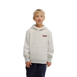Hoodie DC Shoes "Eye Of The Storm", Jungen, Gr. 10(140-148cm), grau (light erdgrau), Obermaterial: 55% Baumwolle, 25% Baumwolle, 20% Polyester., Sweatshirts Hoodie