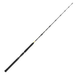 Daiwa BG Big Game 1.68m 30-50lbs Bootsrute