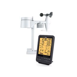 Alecto Professionelle Wetterstation mit Funksensor schwarz