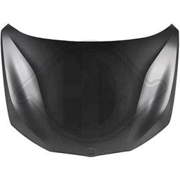 DIEDERICHS Motorhaube 1266000 f&uuml;r BMW