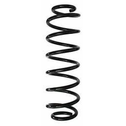 SPIDAN Fahrwerksfeder 87504 Hinterachse f&uuml;r Ford