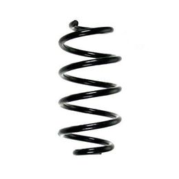 SPIDAN Fahrwerksfeder 85971 Hinterachse f&uuml;r NISSAN