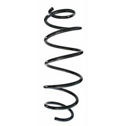 SPIDAN Fahrwerksfeder 87603 Vorderachse f&uuml;r Opel Fiat