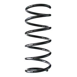 SPIDAN Fahrwerksfeder 85569 Hinterachse f&uuml;r Ford